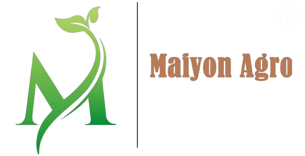 Maiyon